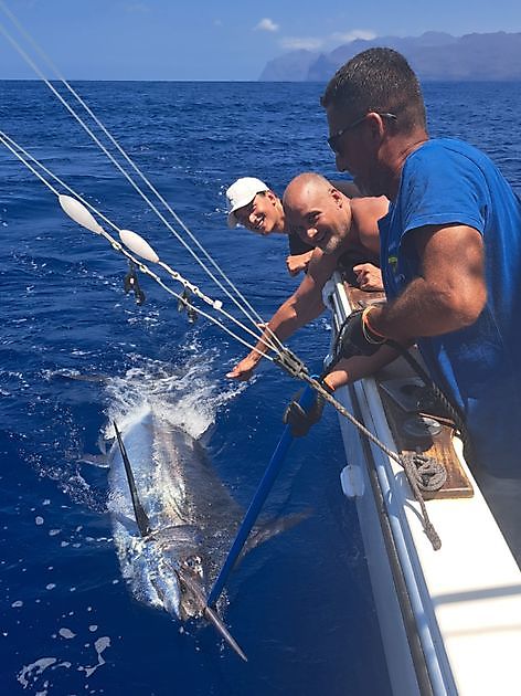 Bizarre see-through fish - Cavalier & Blue Marlin Sport Fishing Gran ...