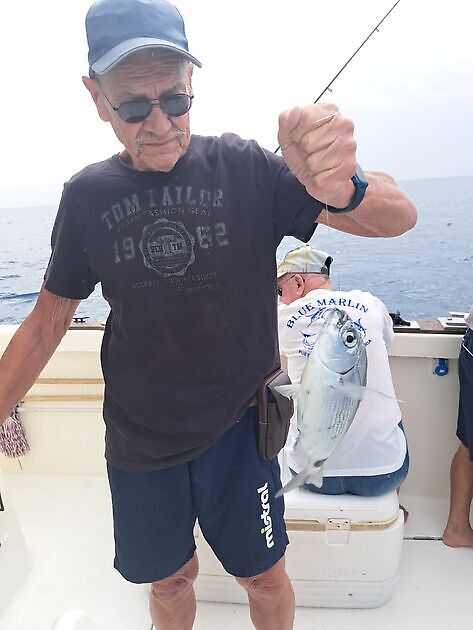 Fish weight calculator - Cavalier & Blue Marlin Sport Fishing Gran Canaria