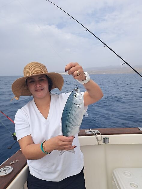 Fish weight calculator - Cavalier & Blue Marlin Sport Fishing Gran Canaria
