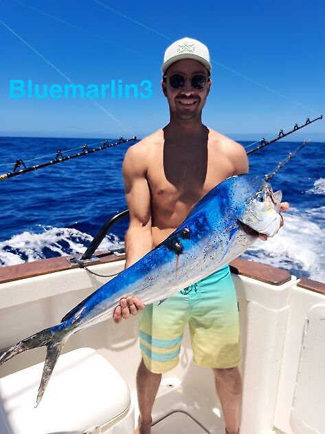 Fish weight calculator - Cavalier & Blue Marlin Sport Fishing Gran Canaria