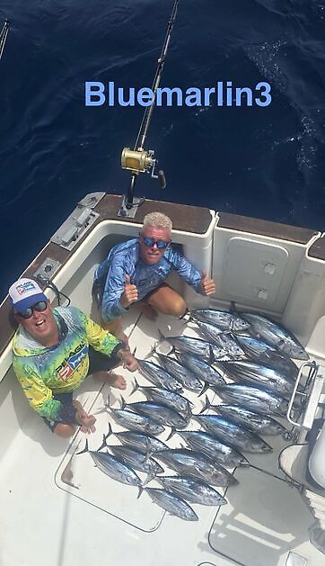 Fish weight calculator - Cavalier & Blue Marlin Sport Fishing Gran Canaria